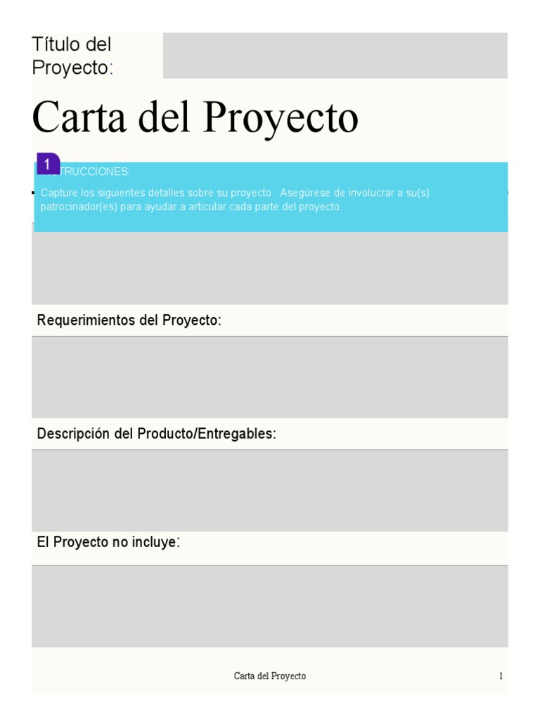 Carta Del Proyecto | PDF