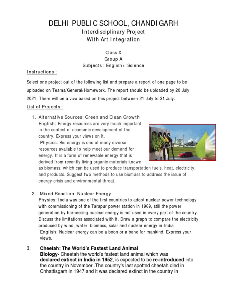 IDP Class X Eng+Science | PDF | Nuclear Power | Foods