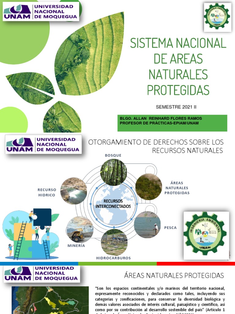 Sistema Nacional de Areas Naturales Protegidas - Sinanpe | PDF | Perú | Biodiversidad