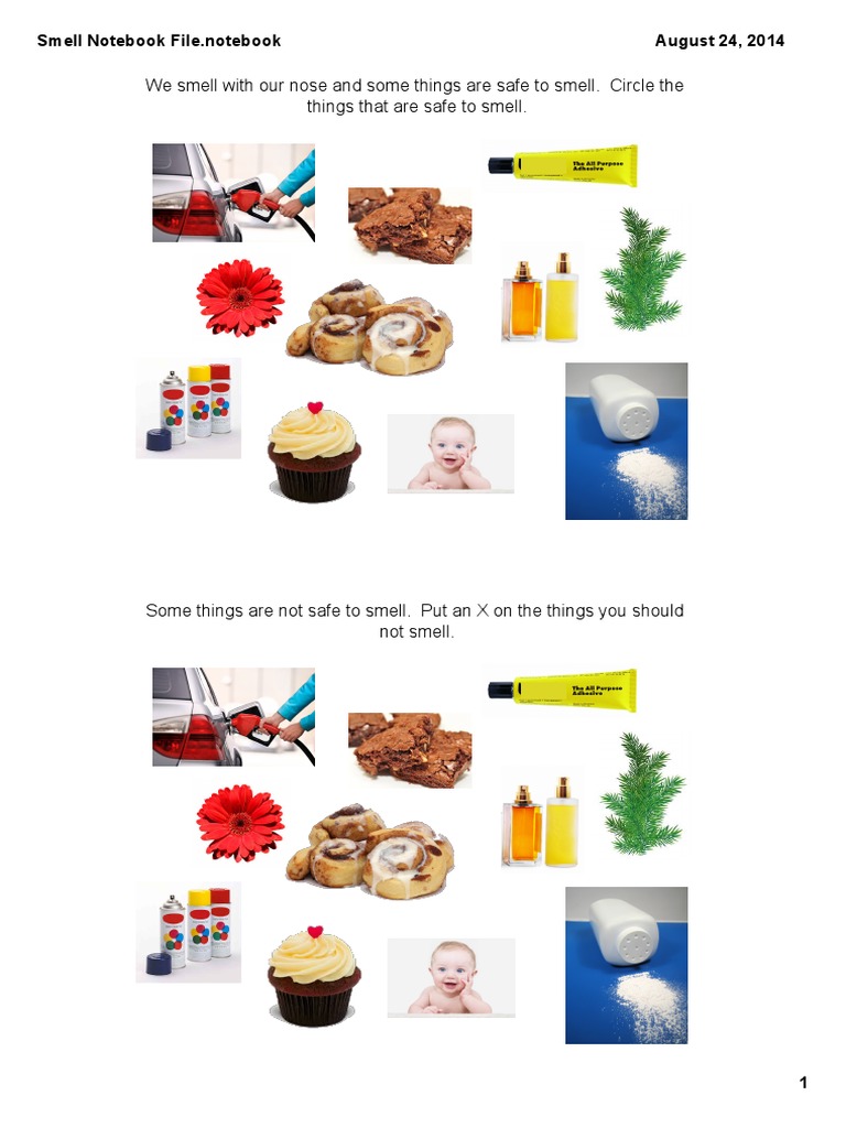 Smell Smartboard Slides PDF | PDF | Language Arts & Discipline