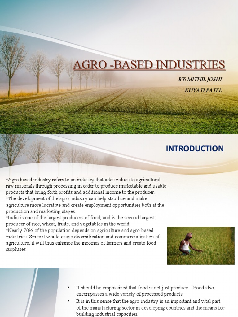 Agro Based Industries | PDF | Jute | Silk