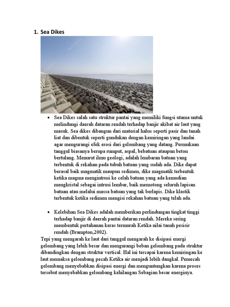 Sea Dikes | PDF