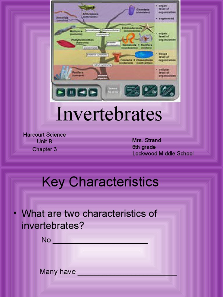 Invertebrates: Harcourt Science Unit B Mrs. Strand 6th Grade Lockwood ...