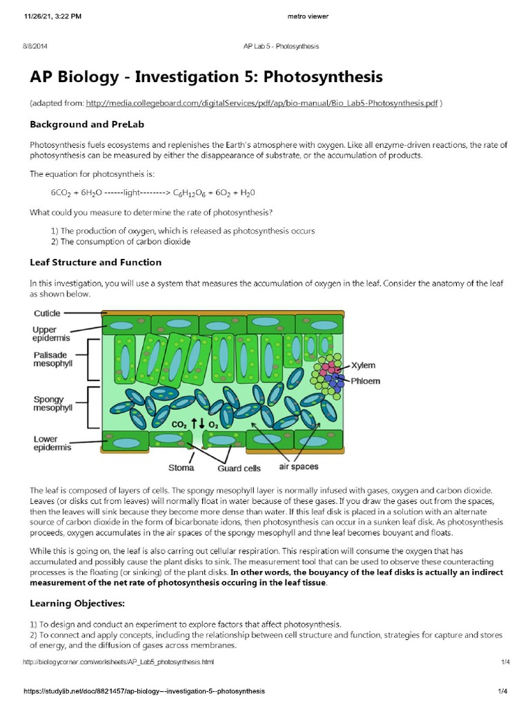 AP Biology - Investigation 5 - Photosynthesis | PDF