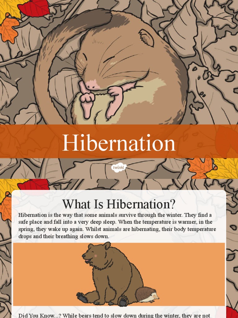 T SC 124 Hibernation PowerPoint - Ver - 3 | PDF | Zoology