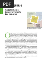 Bula do Andolba: Indicações e Posologia | PDF | Queimadura ...