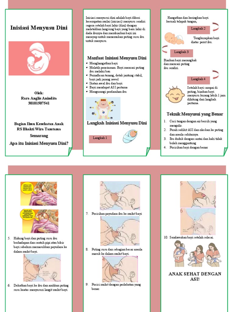 Leaflet IMD Rara | PDF | Kesehatan Holistik