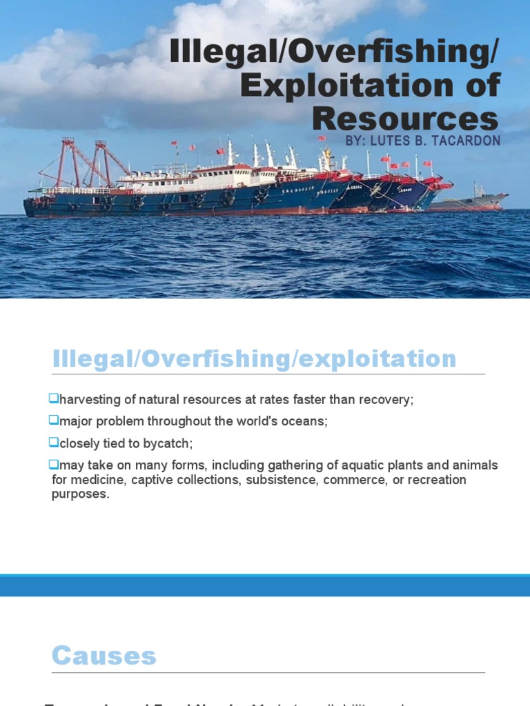 Overfishing and Its Impacts: An Analysis of the Causes, Effects, and ...