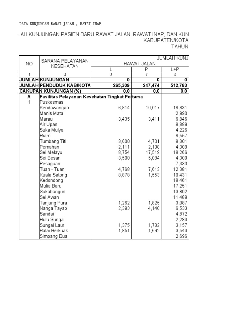 Data Kunjungan Rawat Jalan PKM TJ Pura-1 | PDF