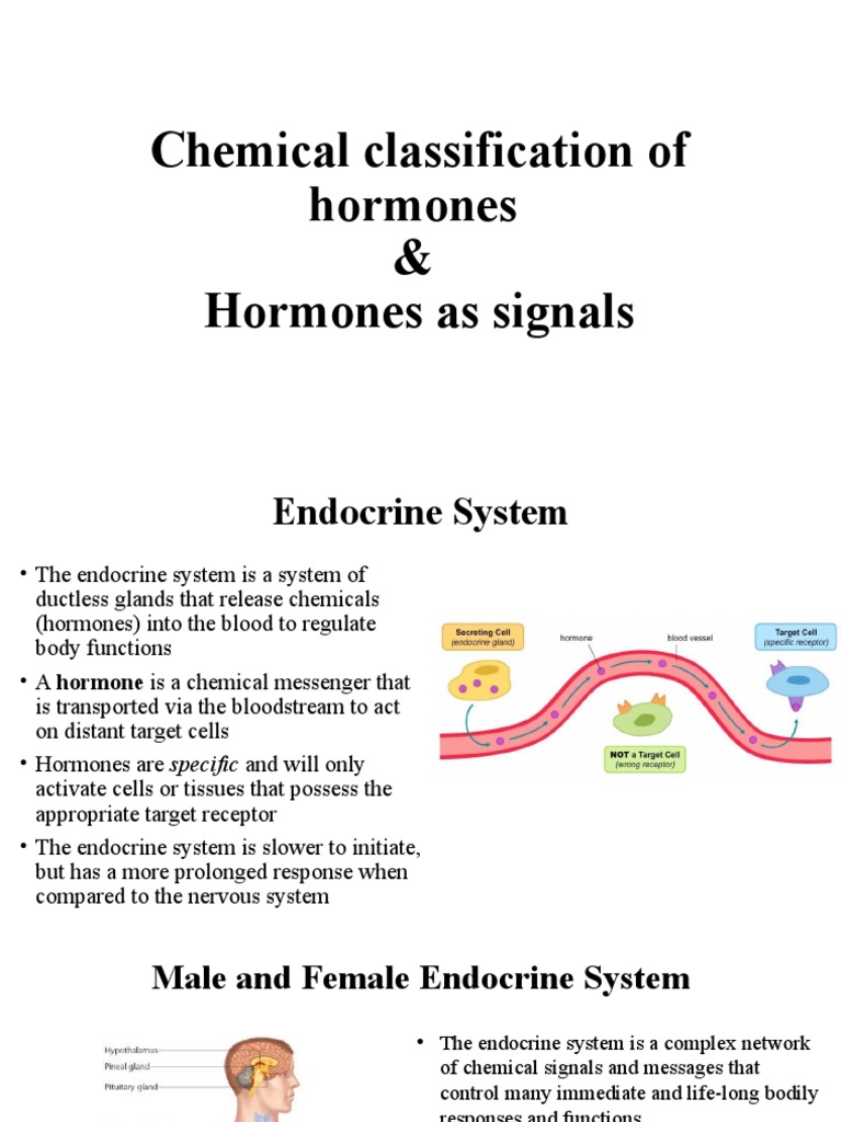 Hormones As Signals, Classification of Hormones | PDF | Endocrine ...