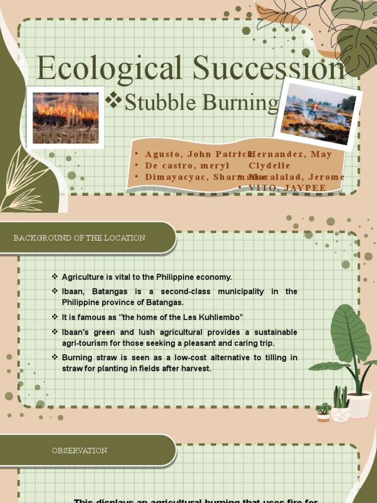 Stubble Burning | PDF | Soil | Ecology