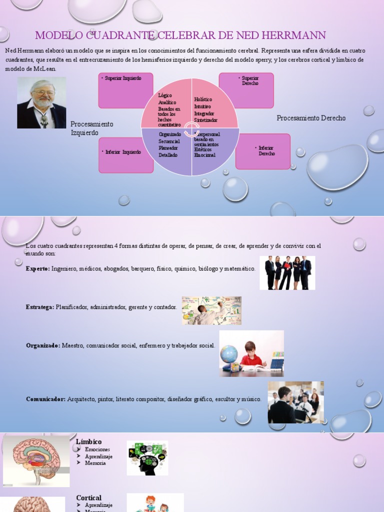 Modelo Cuadrante Celebrar de Ned Herrmann | PDF