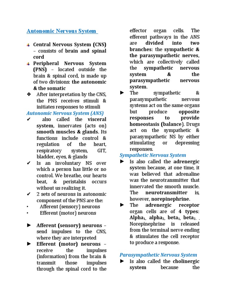 Autonomic Nervous System | PDF | Autonomic Nervous System | Acetylcholine