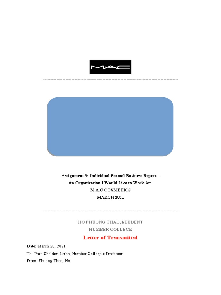 Assignment 3 | PDF | Brand | Cosmetics