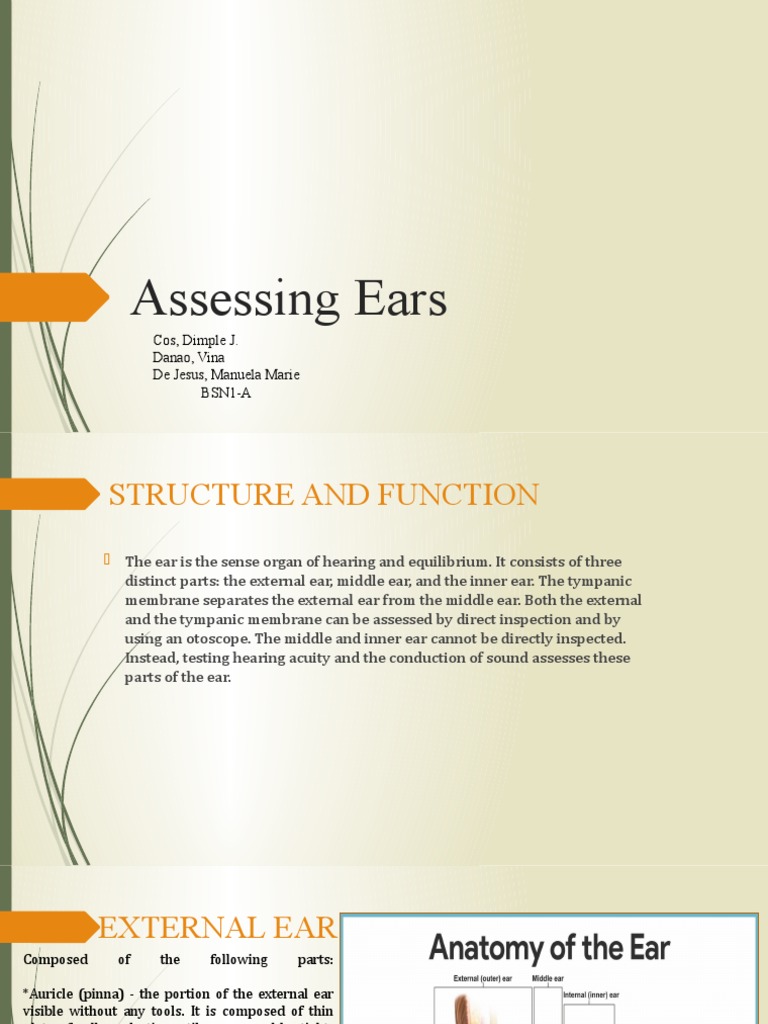 Assessing Ears | PDF | Ear | Auditory System