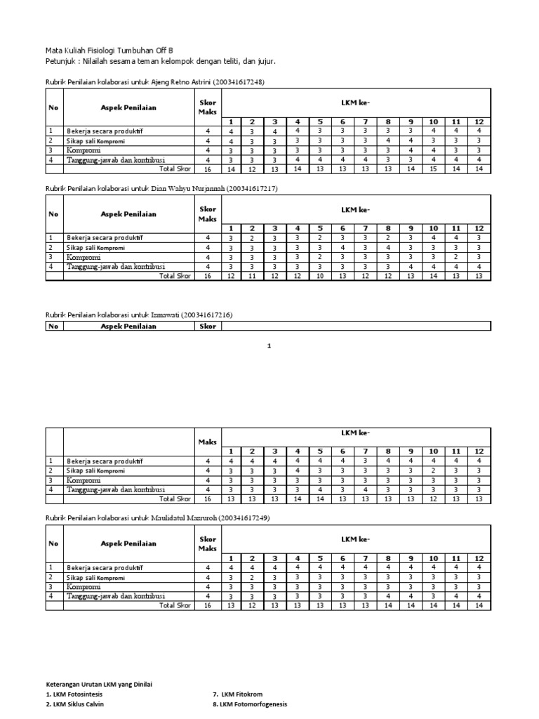 Rubrik Penilaian LKM | PDF