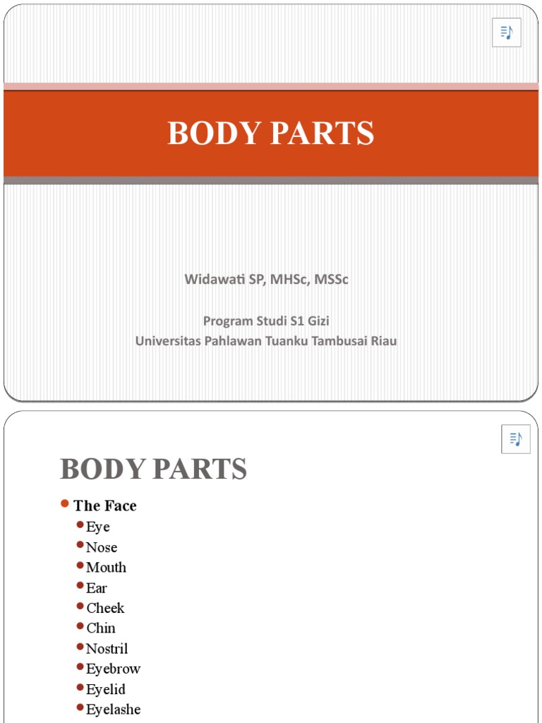 Body Parts: Widawati SP, MHSC, MSSC | PDF