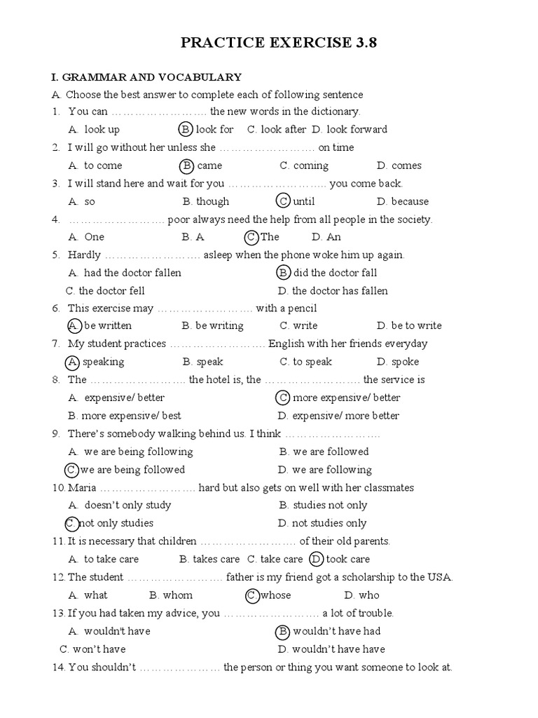 Grammar and Vocabulary Practice Exercise | PDF