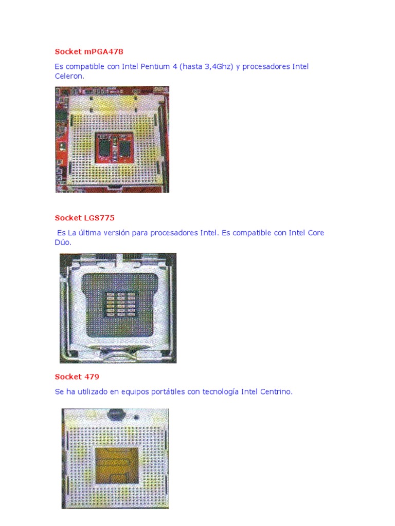 Socket y Procesadores | PDF | Microprocesador | Micro dispositivos ...