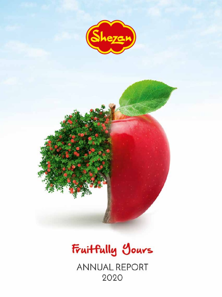 SHEZ - 2020 Shezan International Limited | PDF | Proxy Voting | Governance