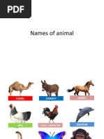 100 Animals Names in English | PDF