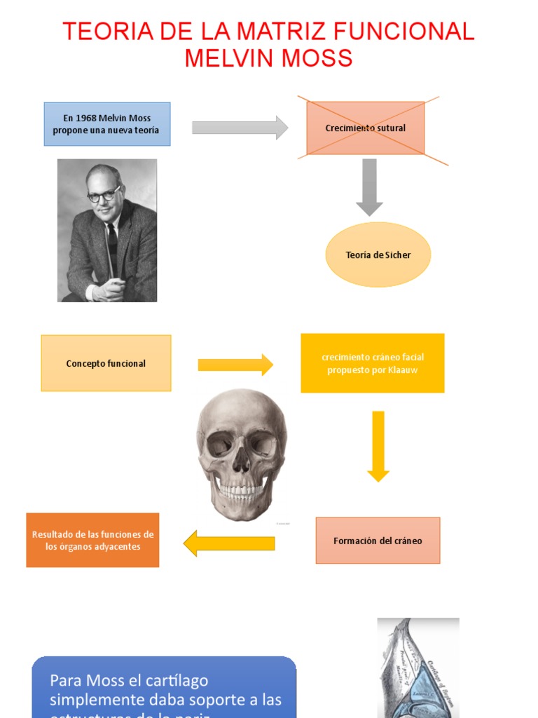 Teoria de Moss | PDF
