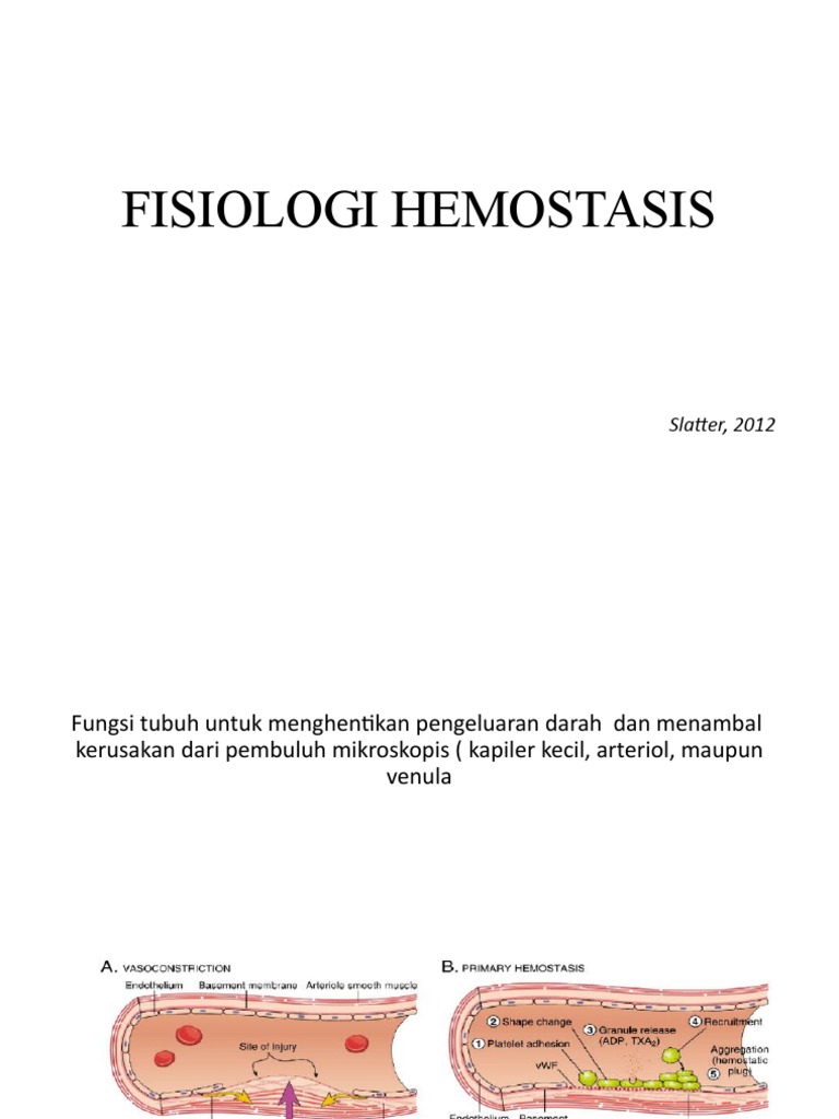 Faal Hemostasis | PDF