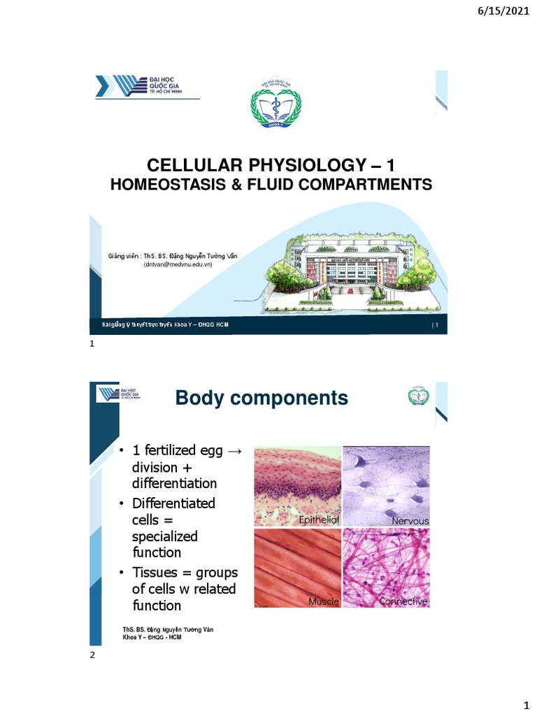 Homeostasis and Fluid Compartments Overview | PDF | Homeostasis ...