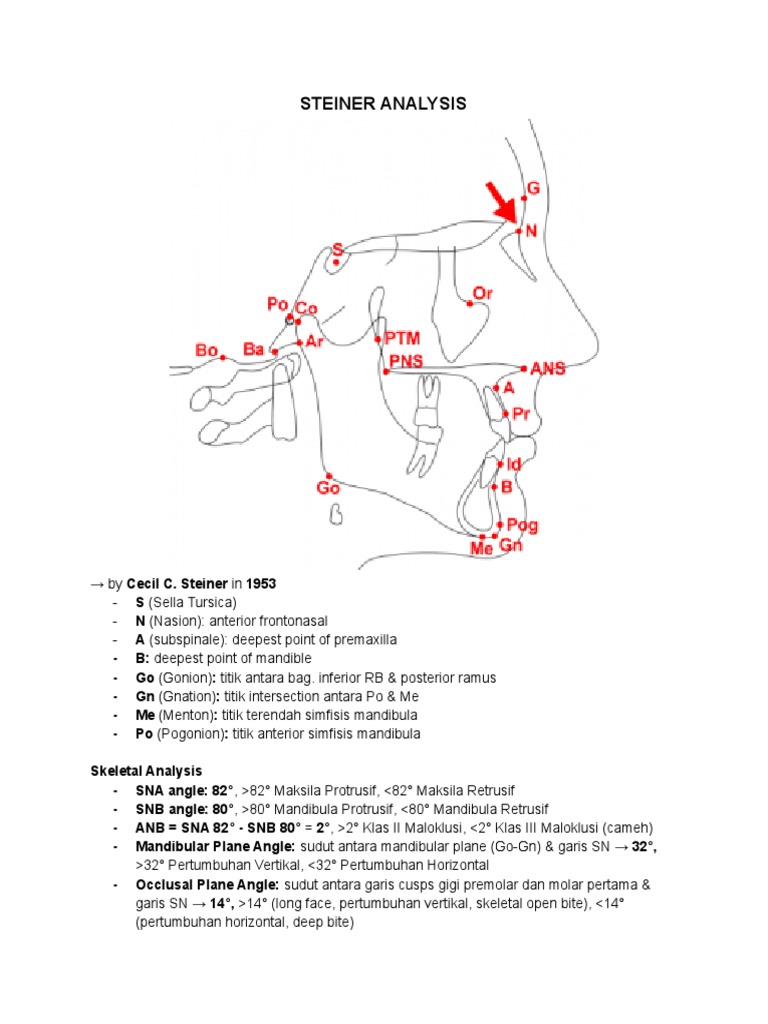 Rangkuman Steiner Analysis | PDF | Lip | Dental Anatomy