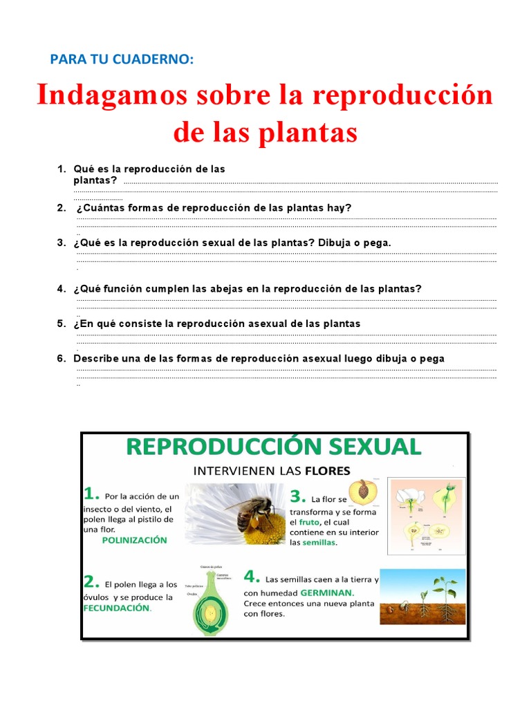 La Reproducción de Las Plantas | PDF | Reproducción