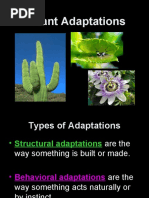 Aerial Adaptations in Plants and Animals | PDF | Habitat | Plants