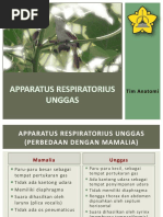 Anatomi Dan Fisiologi Organ Reproduksi Ayam | PDF