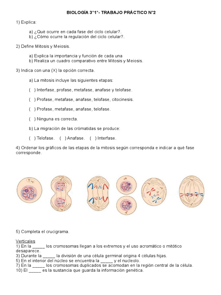 Trabajo Practico #2 Biologia 3°1°-2021 | PDF