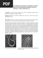 Nematode Species and Common Names List | PDF | Parasites | Plants