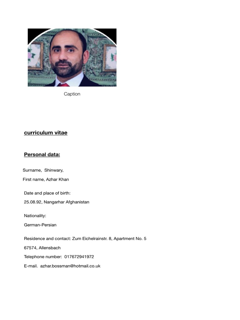 Curriculum Vitae: Caption | PDF