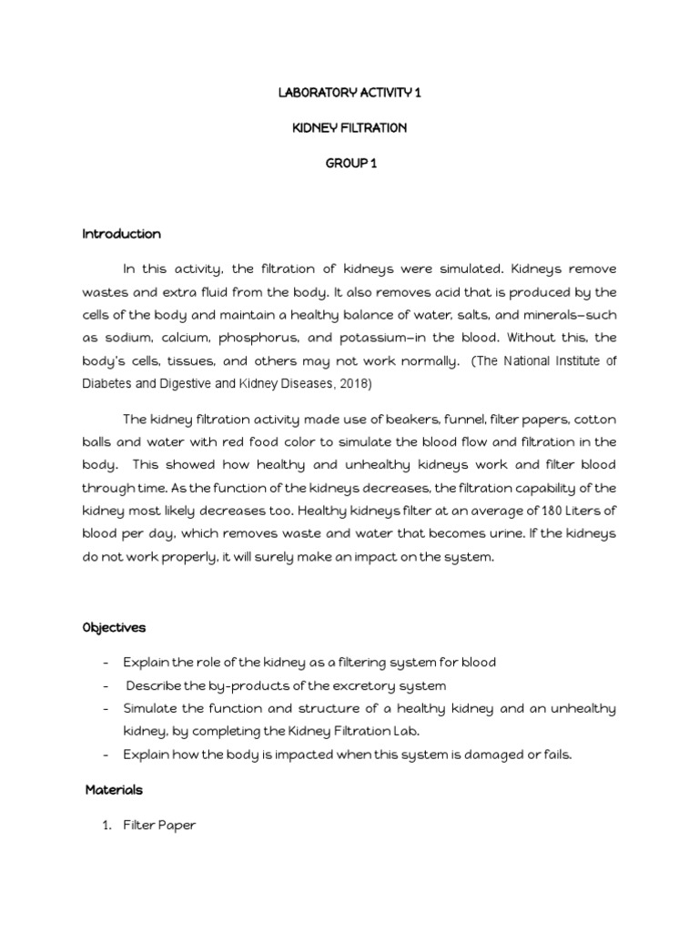 The Excretory System LAB | PDF | Filtration | Kidney