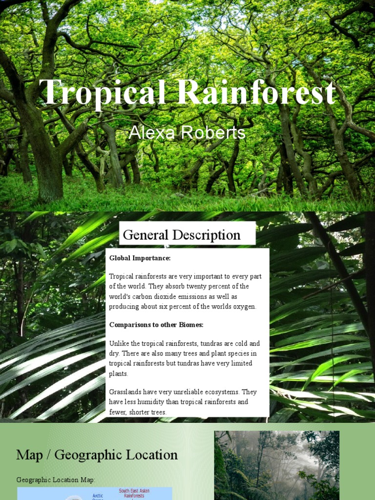 1.02 Biome Template | PDF | Rainforest | Tropics