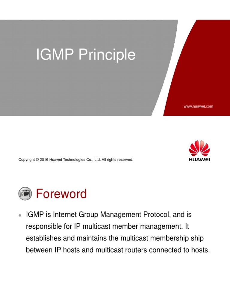 11-Igmp Principle Issue1.01 | PDF | Computer Science | Internet