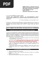 Anillos de Contusión y Enjugamiento | PDF | Mecanica clasica | Cambio