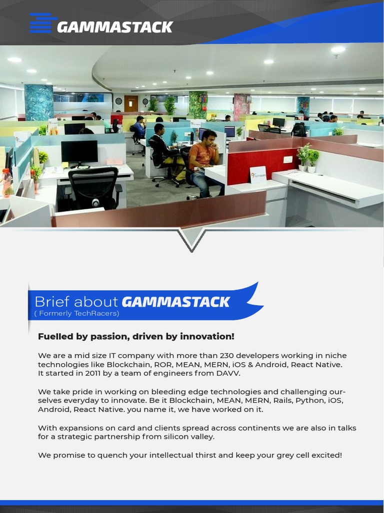 Developer Proposal - GammaStack | PDF | Computer Programming