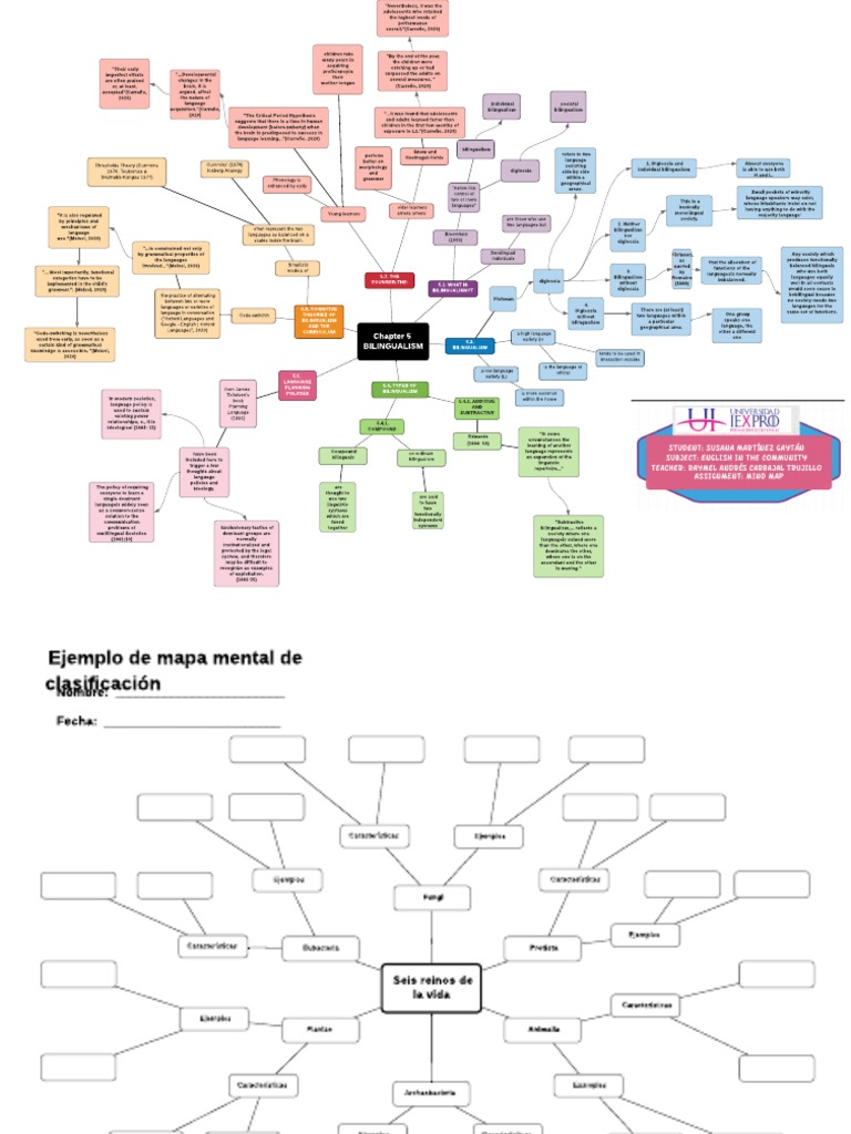 Mind Map Chapter 5 BILINGUALISM | PDF | Multilingualism | Neuropsychological Assessment