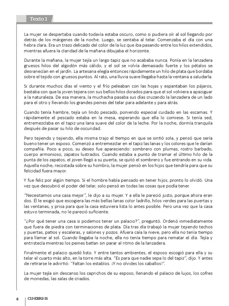 C13-EBRS-31 EBR Secundaria Matemática - Removed | PDF | Mercado libre | Aprendizaje