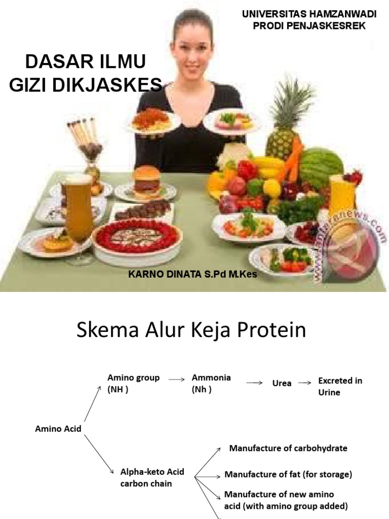 Nutrisi dan Protein untuk Atlet | PDF