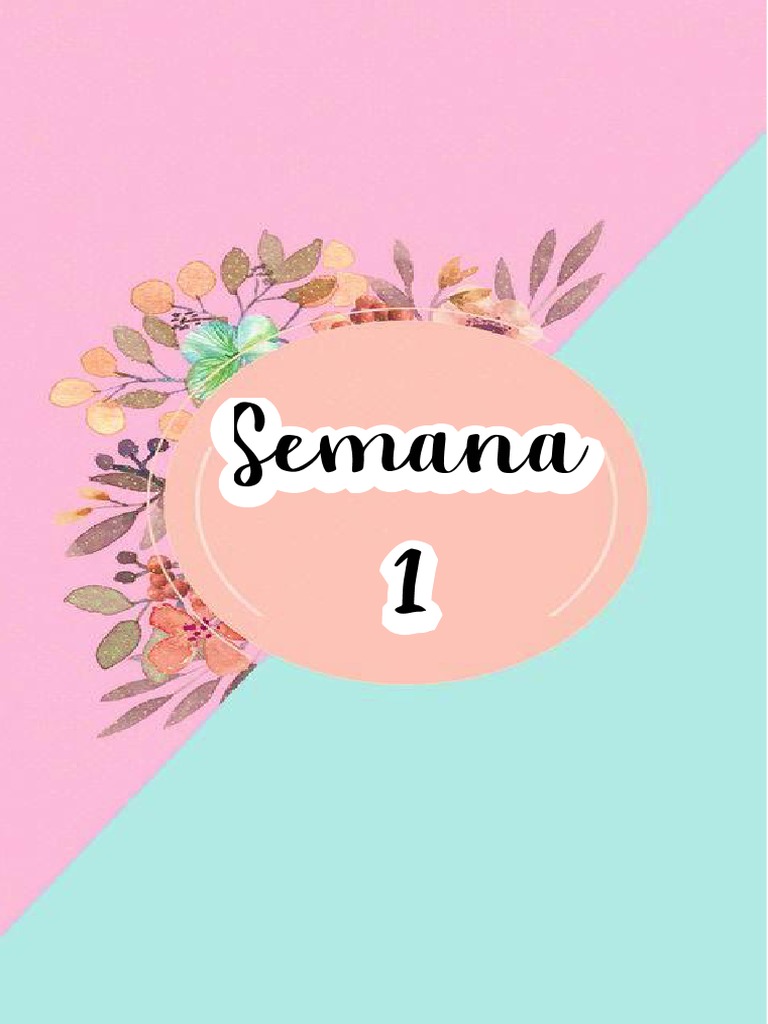 Carátula - Semana 1 | PDF
