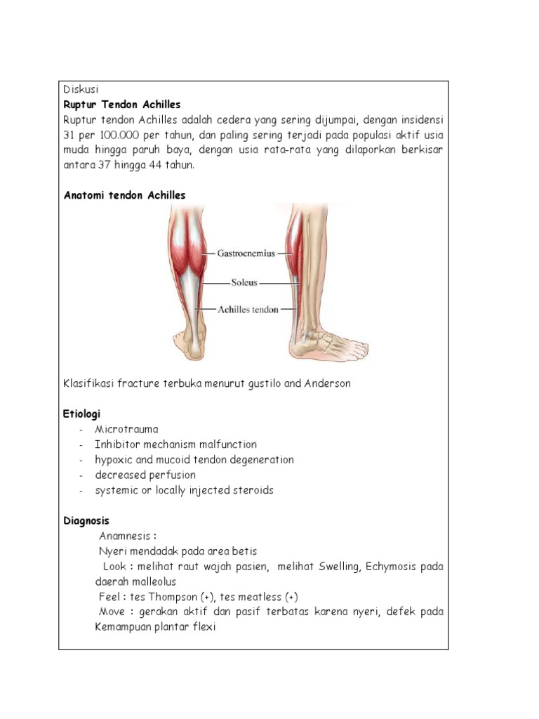 Rupture Tendon Achilles | PDF | Ilmu Sosial | Sains & Matematika