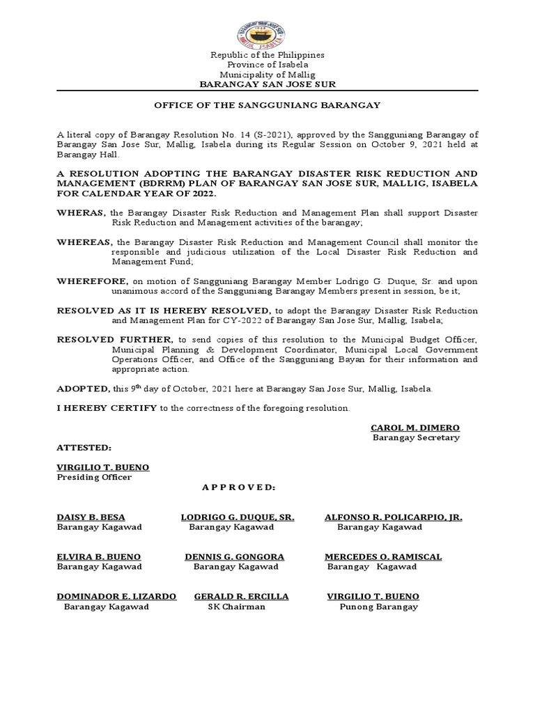 Resolution of BDRRM | PDF | Risk Management | Securities