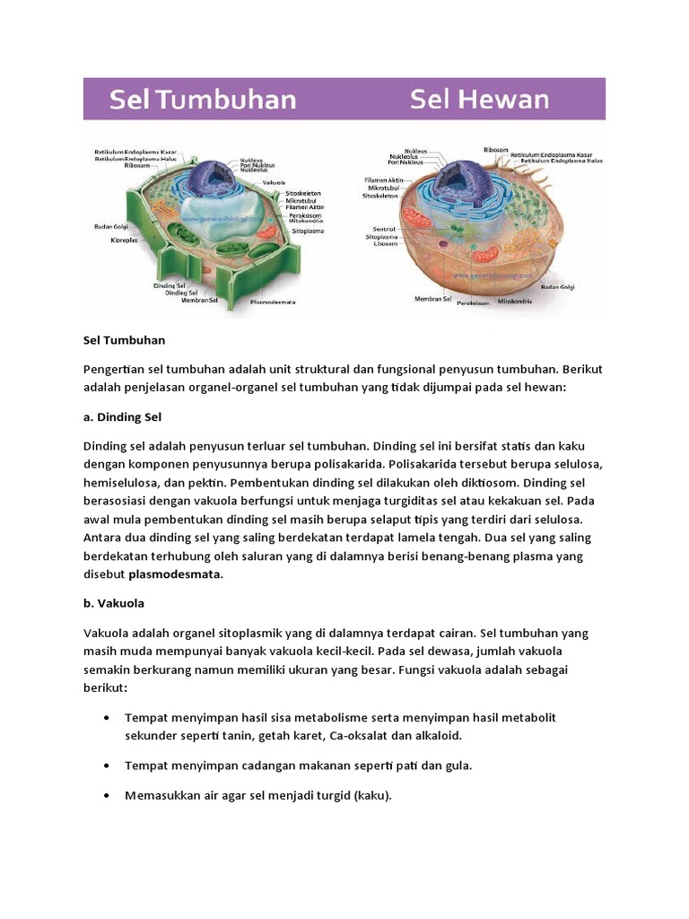 Sel Tumbuhan | PDF