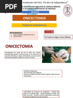Onicectomía: Procedimiento y Cuidados | PDF | Clavo (anatomía) | Dedo ...