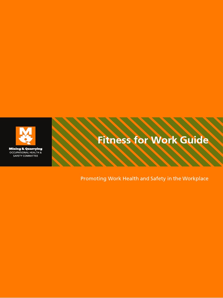 Fitness For Work Guide | PDF | Occupational Safety And Health | Safety
