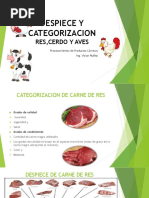 Visceras de La Res | PDF | Menudencias | Carne